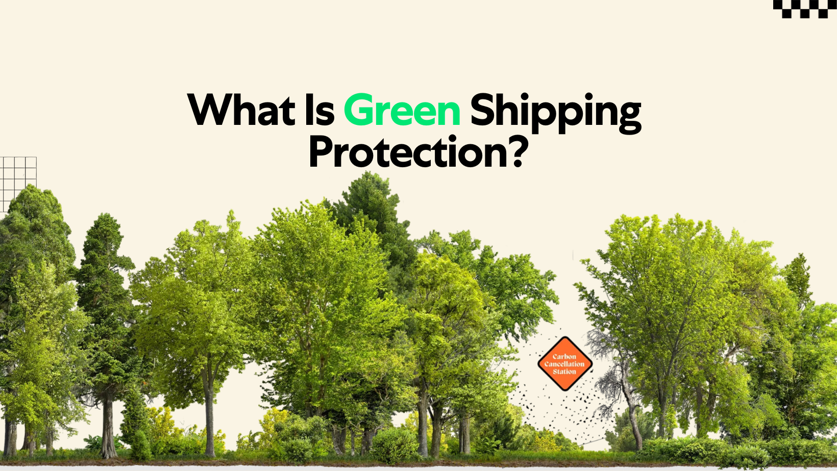 What Is Green Shipping Protection? - Corso